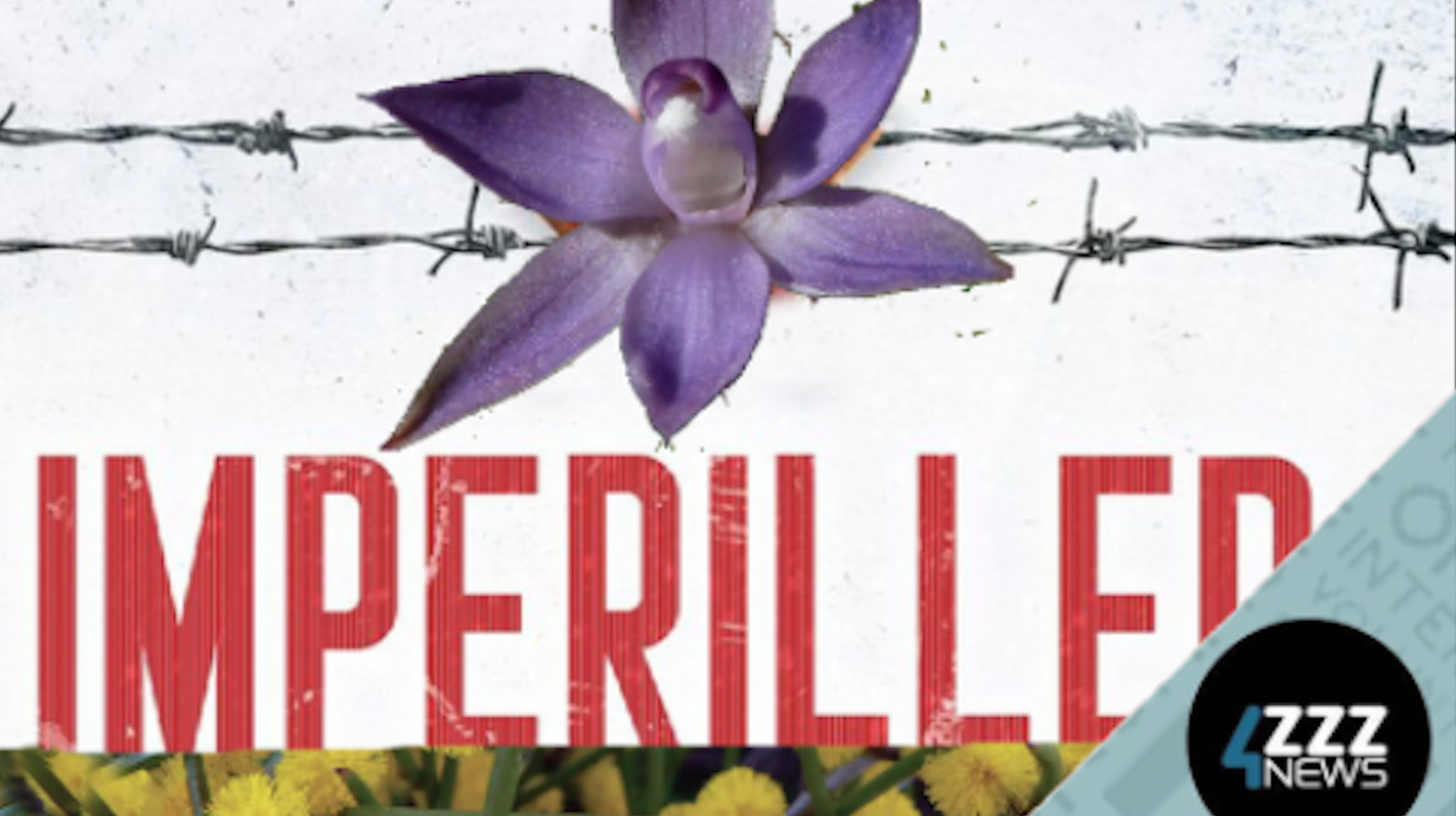 National Action Plan for Australia’s most imperilled plants