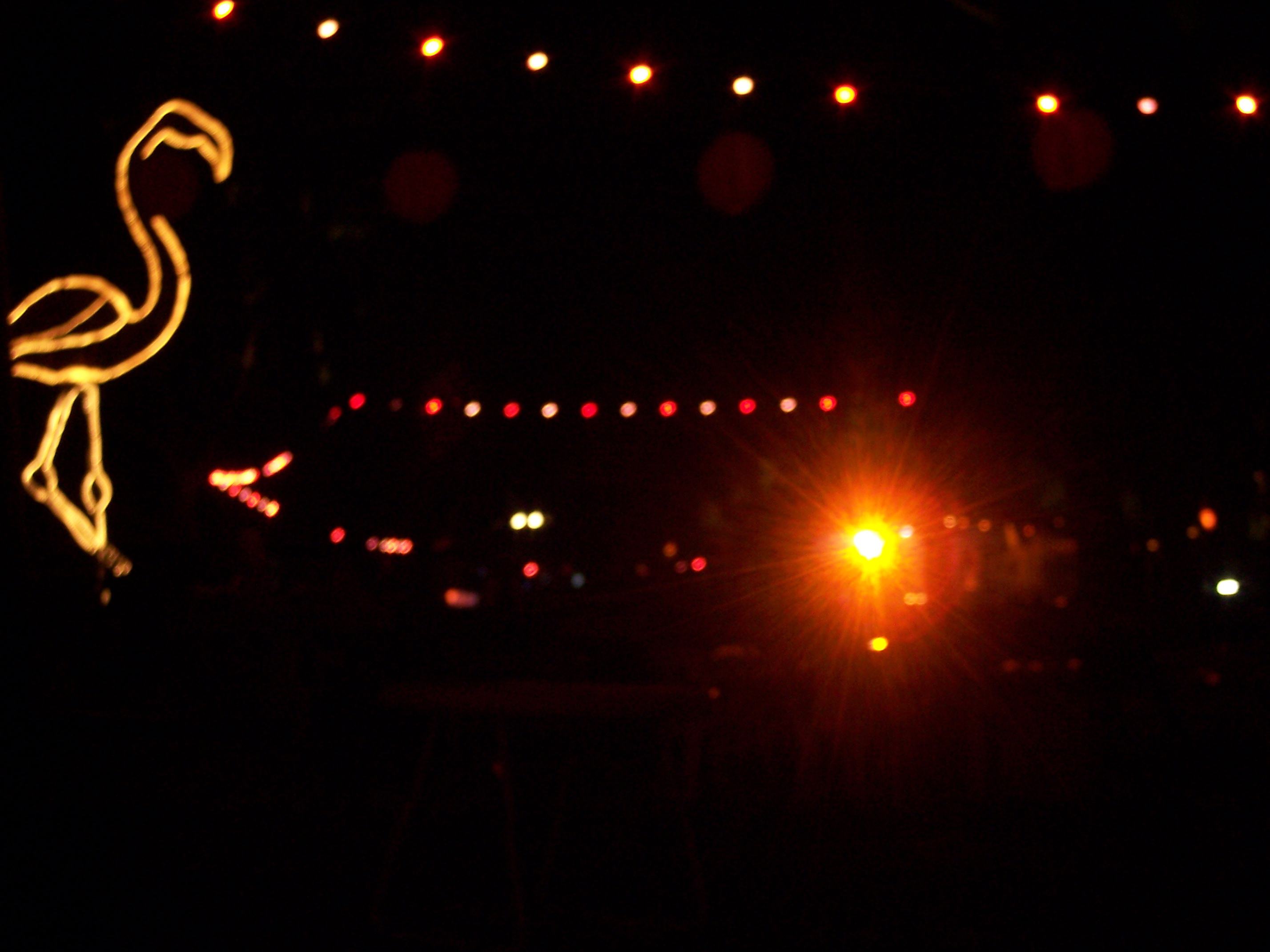 Yeah Yeah!!! Meredith Music Festival and Melbourne City Spectacular!!! pt1